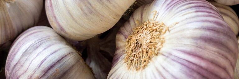 Purple Garlic: The Richer Garlic Variety You Need To Know About - Spice ...